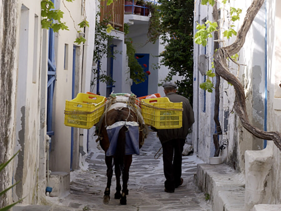 Paros Island Tour - Visit Cyclades - Greece - visit-cyclades.com